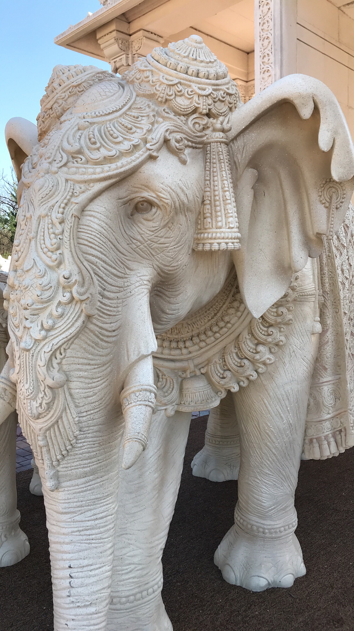 img_3689 – thoserunwaylights